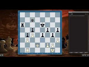 Josh Waitzkin's Academy (Arsenal)