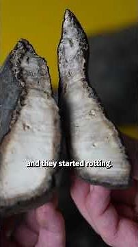 Rubber used to be useless…