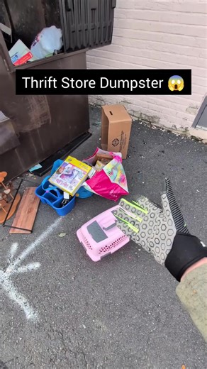 Your Amazon cart could never | Salty Stella