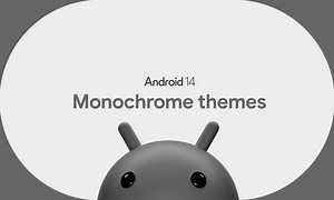 16K views · 715 reactions | #Android14 introduces… Monochrome themes! Sometimes you want to see the world in technicolor, but other times - monochrome is the way to go. With new monochrome themes, your device experience can feel sleek in classic black and white. What’s your phone look now? | Android | Facebook