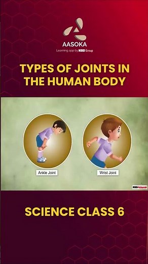 What is a Gliding Joint? | Types of Joints in Human Body | Science | CBSE | NCERT | AASOKA #Shorts