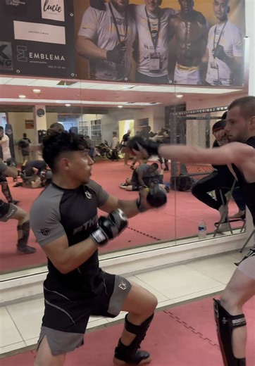 Entrenamiento de MMA: Técnicas de Lucha y Wrestle
