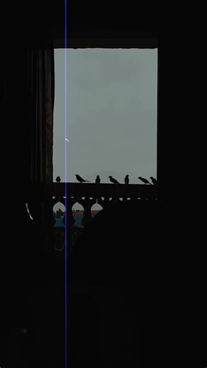 Discover the Beauty of Saraiki Culture