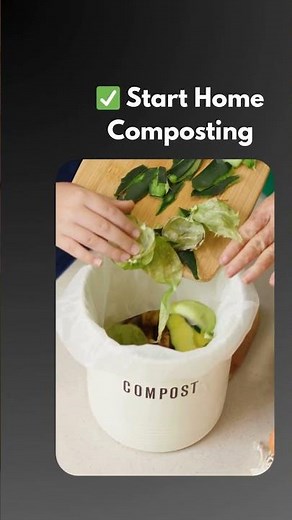 Waste Management Tips for Every Home