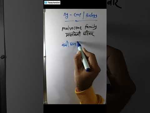 पीएटी के लिए महत्वपूर्ण प्रश्न | PAT questions and answers | pat exam 2024 | #agriculture #pat