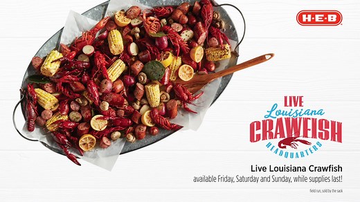 31K views · 155 reactions | Your weekly ad is here! Save on Gain Liquid Laundry Detergent, Woof & Whiskers Toys or Treats, large mangos, and more! | H-E-B | Facebook