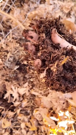 37K views · 2.1K reactions | Taking a pause from sustainable holiday...