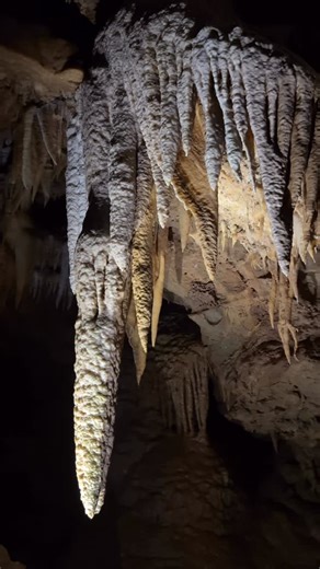 Nell Narasappa | California Travel & Outdoor Adventure on Instagram: "location details⬇️ This place is magic! I cannot believe it took me SOO long to visit- first you get across the lake by boat, then climb high above the lake into a limestone mountain range by bus and then walk deep in to find these caverns! It’s mesmerizing being in a 250 million year old limestone cave system filled with jaw-dropping stalactites, soda straws and flowstone! 📍 location mentioned at the end of the reel D͟R͟I͟V͟