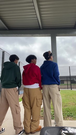 Adorable Chipmunk Trio Singing Three Little Birds