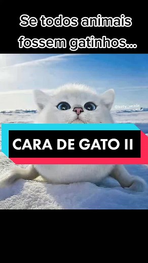 O mundo seria bem mais lindo! Assista o I @cat8family #gato #gateiros #catsoftiktok #catslovers #humor #animais #pet