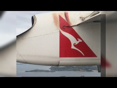 Snake on a Plane: Huge python clinging to aircraft wing in mid-air