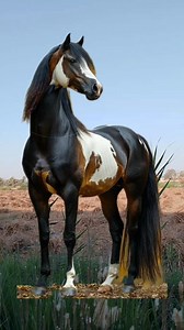 Photo Stop challenge 💵💰🆗💲👌 | MOOD