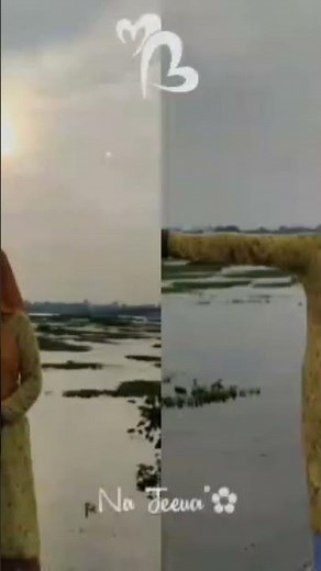 Good mooning every one