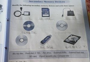 Secondary Memory DevicesIdentify the following secondary memor... | Filo