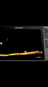 Cool footage of Lowrance Active Target in action! #lowrancefishing | Dean Rojas Pro Angler