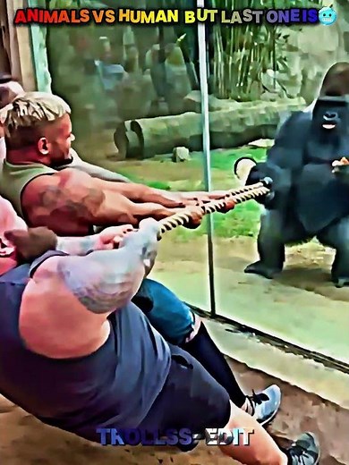 Other aggressive animals vs human💀🔥 #trollface #shortsvideo #animals