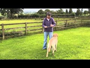 Twiddling Stick To Help Cure Labyrinthitis