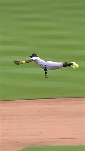 The Greatest Catch in Baseball History? See the Plays Fans Can’t Stop Talking About