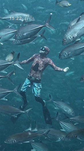 17K views · 481 reactions | Apnea Koh Phangan | Ocean Reality Channel | Facebook