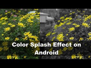 Easily Get Color Splash Effect on Android (Photo Friday) | Guiding Tech