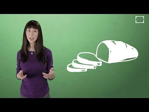 How Does Bread Rise?