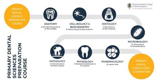 Elevate your understanding of the 6 fundamental dental sciences subjects! The Primary Dental Sciences Preparation Course offers a dynamic learning experience featuring live webinars led by examiners and industry leaders enriched with supplementary materials. 🏆 Whether you're gearing up for the Primary Dental Sciences examination or seeking comprehensive knowledge, this course is your one-stop course. Register for the Preparation Course here: https://bit.ly/3RqegBY Live sessions include: 📚Anato