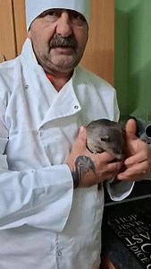 8.2K views · 2.1K reactions | Back in the kitchen cooking with ruby today it's a lamb shank dinner | Martin Critchlow | Facebook