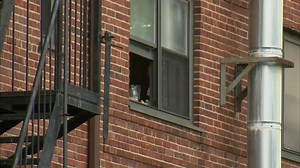 23-year-old man killed in fireworks accident in New Jersey