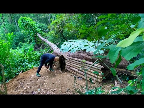 Survival Under the Fallen Tree | Building Shelter & Cooking in the Wild