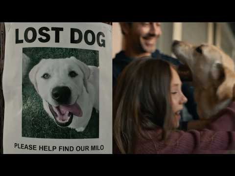 Ring Super Bowl Commercial 2026 Dog Search Party Big Game Ad Review