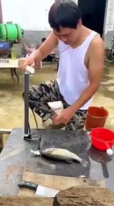 562K views · 1K reactions | Pro Fishing Videos on Reels | Facebook