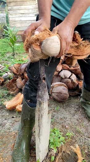 Easy and simple way to peel coconut
