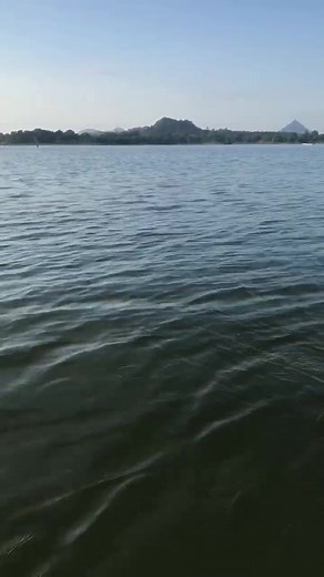 Amazing Net fishing #happyfishtv #fish1tv #fishcuttingvideo #fishcatching #fishing #fish #fisherman #fishingtiktoks #fishhunting #fishtok