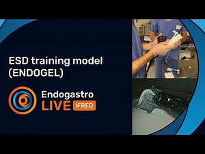 ESD training model (ENDOGEL)