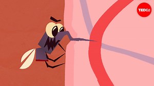 The loathsome lethal mosquito