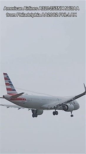 American Airlines final approach LAX from Philadelphia #airplane #american #landing #planespotting