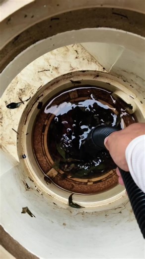 How to clean pool skimmer? #poolcleaning #drawingpool_ray #Sydney #asmr