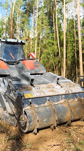 272K views · 858 reactions | Insane Process Of Stump Removal! | Crafty Panda | Facebook