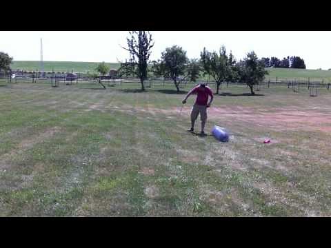 How to build deer-protective cages for young trees