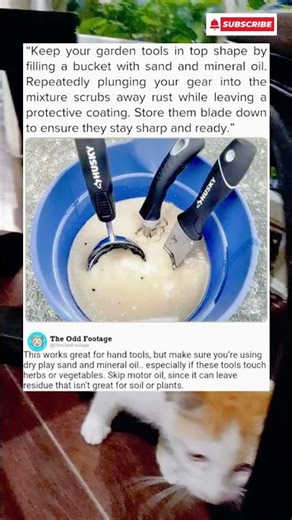 Protect Your Hand Tools from Rust #funny #memes #shortsfeed