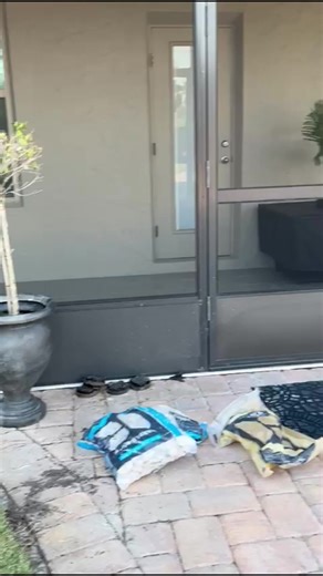 Ornamental Planting & Mulch Installation This garden received a complete makeover, beginning with a thorough clean-out to prepare the area for new growth. We added ornamental plants for visual appeal, applied mulch for protection and long-lasting vitality, and installed brick edging to sharpen the borders and enhance the overall design. Contact Us Today For A Free Estimate! 📲(407) 202-4139 ☎️(407) 879-5452 🌐 Check Out Our Services Online Now! https://aguilarslandscapingfl.com/ . . #palmtreetri