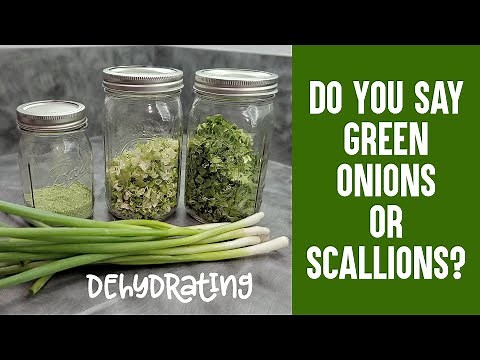 Preserving Green Onions by Dehydrating! Dehydrating Scallions and Spring Onions