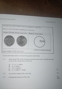 Mathematical Literacy / Grade 12Minting of the South African ... | Filo