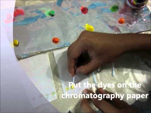 Chemistry Experiment - Using differents dyes ( M&M and Skittles )