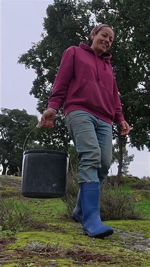 Farm work and building our dream home by ourselves on our land in Portugal