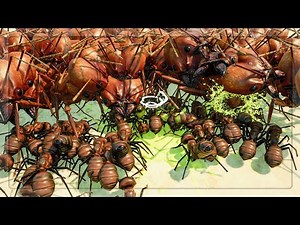 I DEFEND My ANT QUEEN With Exploding Ants in Empires Of The Undergrowth