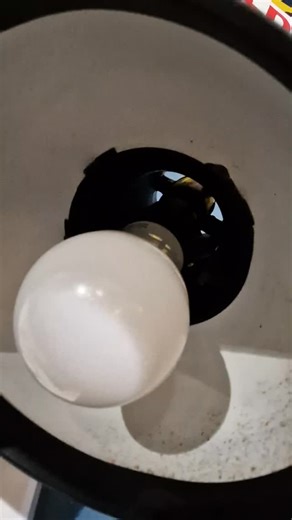 STILL IN STYLE....... Just look at these lines and look. This vintage planet anglepoise desk lamp from the 70s has it all. Google over it at Shop 42 @empire.revival this week before it is gone for good. . #lamp #desklamp #planetlamp #style #looks #legs #lines #unique #quirky ##old #rare #nostalgia #vintage #collectible #iconic #brisbane #brisbanevintage #paddington #empirerevival #shop42 #livingthedream | Country To City Junktiques