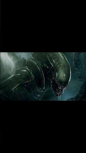 Life cycle of a Xenomorph