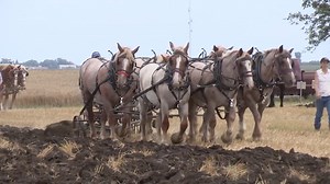 183K views · 10K reactions | This annual event in Humboldt, South...