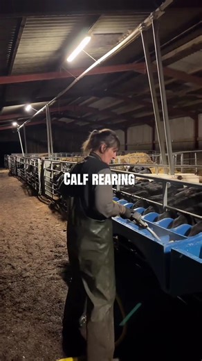 Essential Guide to Calf Rearing for Farmers